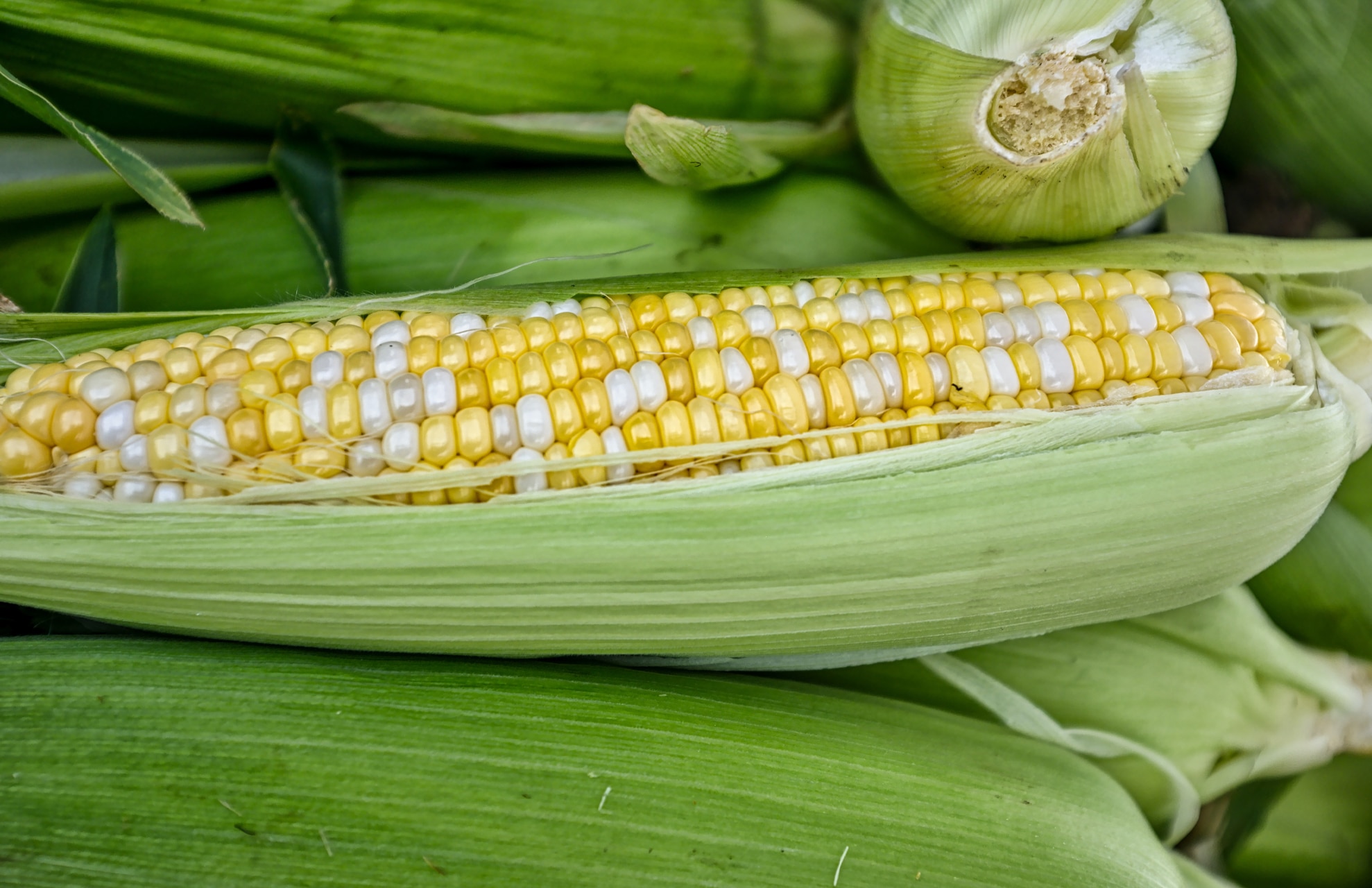 About Ag Aviation - National Agricultural Aviation Association